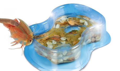 Original Triops Starter-Set - Clementoni