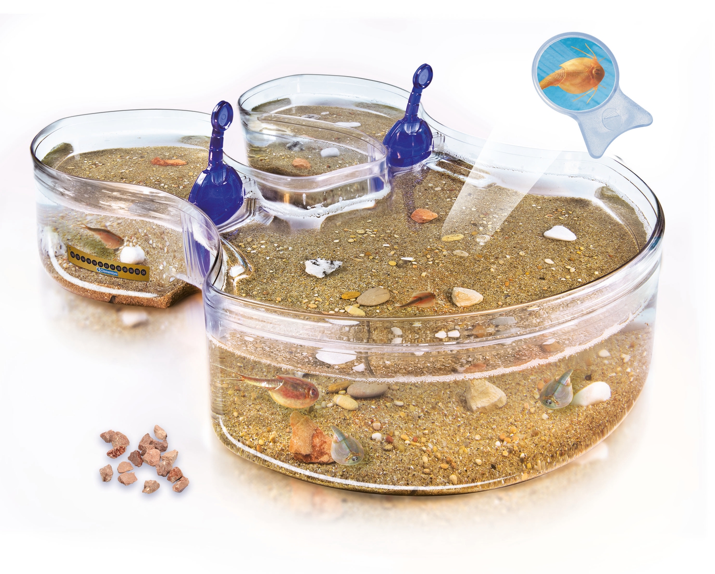 Original Triops Maxi de Luxe - Clementoni